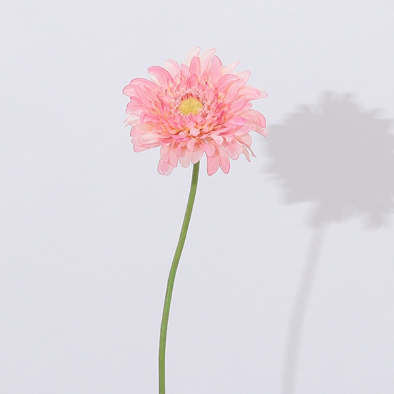 お花と贈り物を組み合わせた新ブランド「Bloom365（ブルームサンロクゴ）」