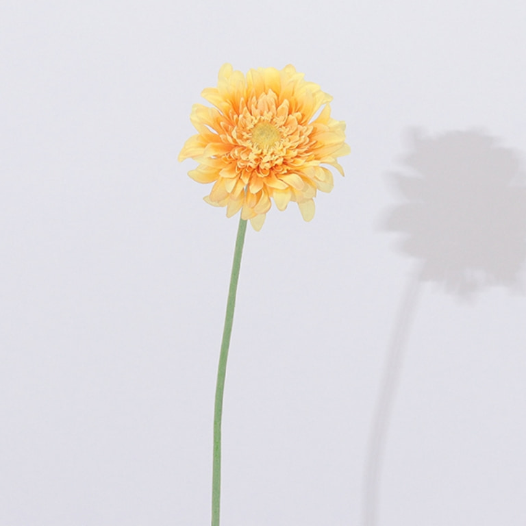 お花と贈り物を組み合わせた新ブランド「Bloom365（ブルームサンロクゴ）」