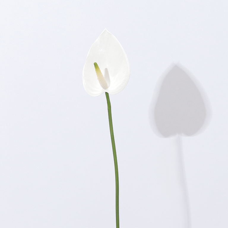 お花と贈り物を組み合わせた新ブランド「Bloom365（ブルームサンロクゴ）」