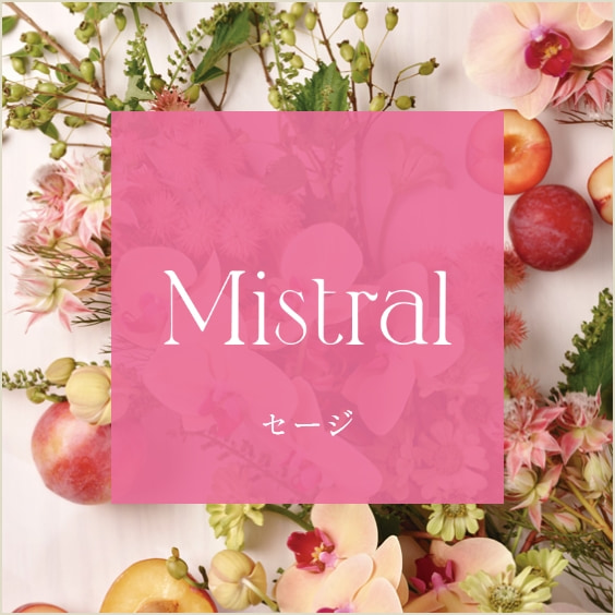 お花と贈り物を組み合わせた新ブランド「Bloom365（ブルームサンロクゴ）」