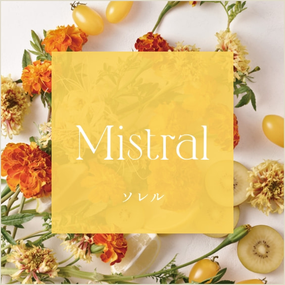 お花と贈り物を組み合わせた新ブランド「Bloom365（ブルームサンロクゴ）」