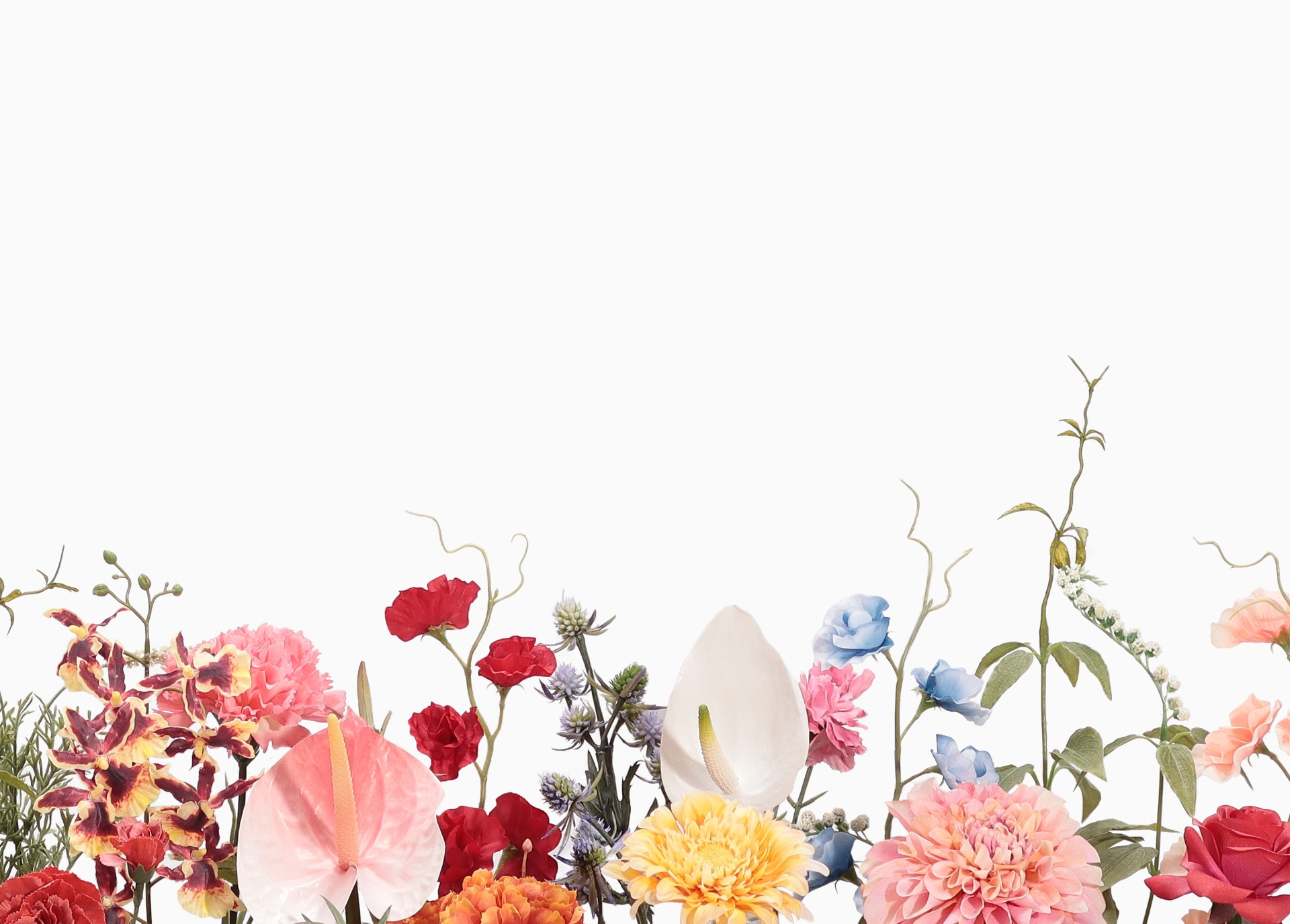 お花と贈り物を組み合わせた新ブランド「Bloom365（ブルームサンロクゴ）」