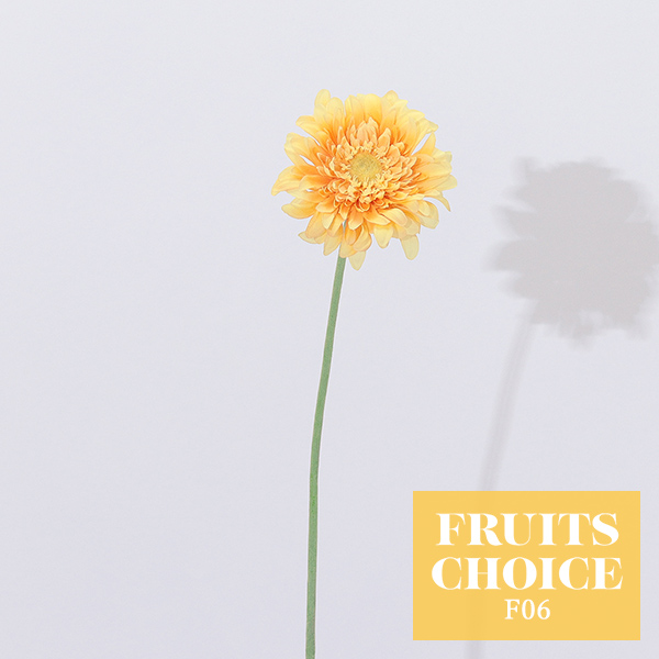 Bloom365 ガーベラ(イエロー)＋選べるギフト＜フルーツ(F06)＞通販 - 贈り物、カジュアルギフトの専門店?PRESENTERS ROOM