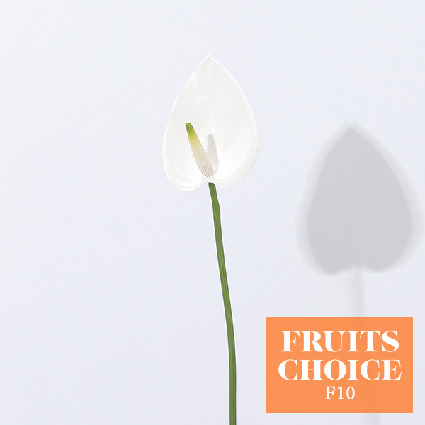 Bloom365 アンスリウム(ホワイト)＋選べるギフト＜フルーツ(F10)＞ - 選べるを贈る ギフトの専門店 PRESENTERS ROOM